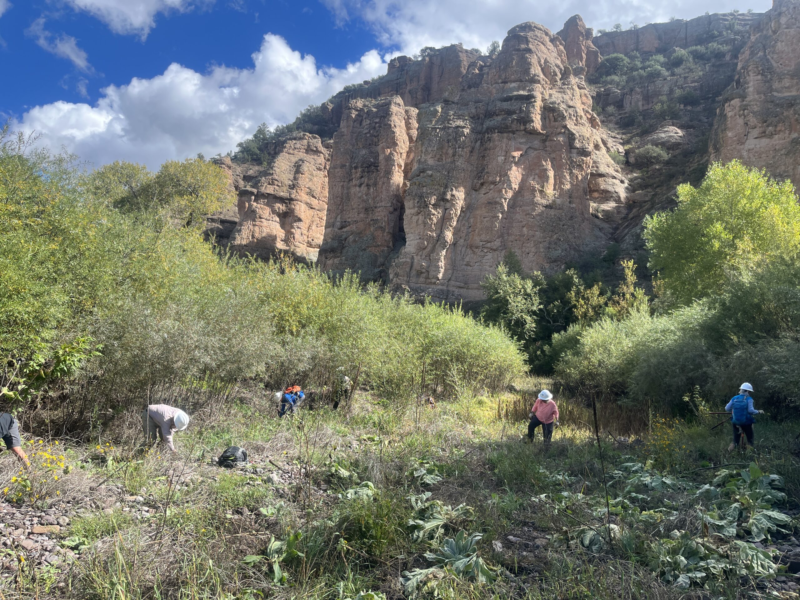 Current Projects-Join with Heart of the Gila - Heart of the Gila